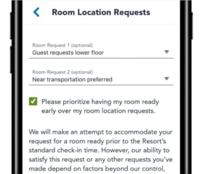 Disney World Online Check-In | Complete Guide, Pros & Cons