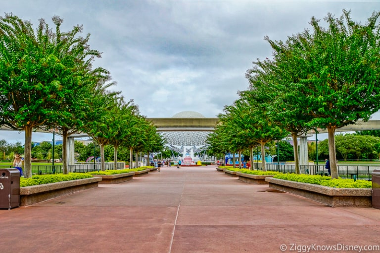 All New Disney World Changes & Guidelines After Reopening