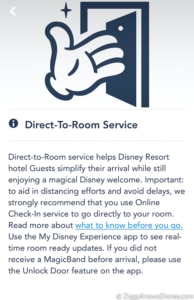 Disney World Online Check-In | Complete Guide, Pros & Cons