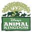 Disney's Animal Kingdom Park Guide | Walt Disney World