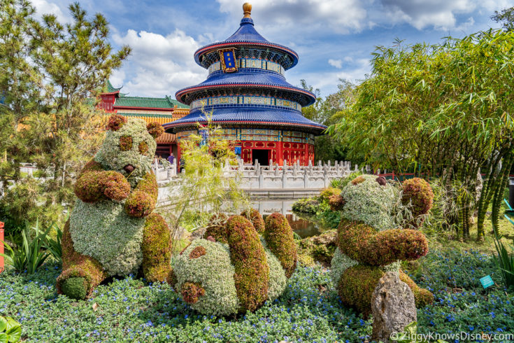 Disney World in March 2021 | Crowds, Weather & Events