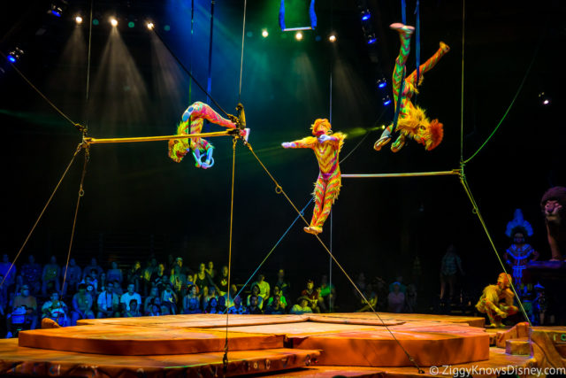 Best Animal Kingdom Rides & Attractions Guide | Full List & Must-Do