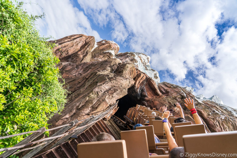 Best Animal Kingdom Rides & Attractions Guide | Full List & Must-Do