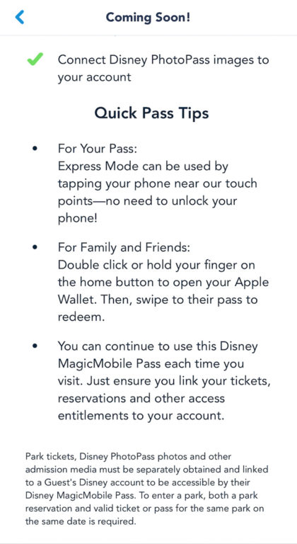 How to Use Disney MagicMobile Pass | Tips & FAQs