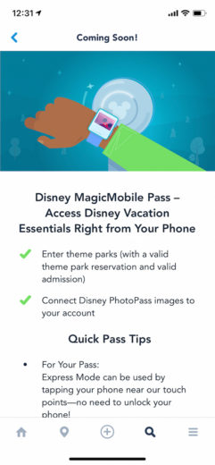 How to Use Disney MagicMobile Pass | Tips & FAQs