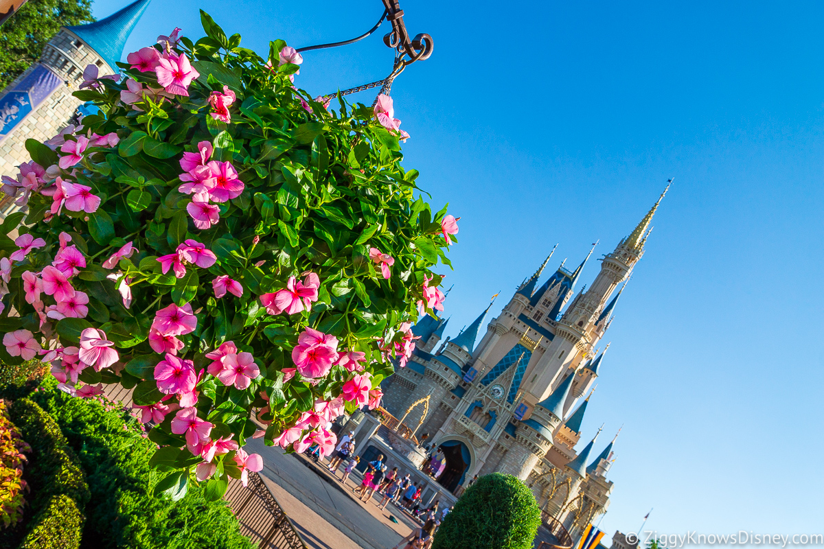 Disney World in April 2021 | Weather, Crowds & Events