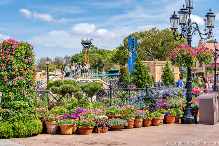 Disney World in May 2022 | Weather, Crowds & Events