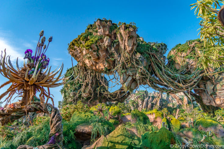 Disney World in May 2022 | Weather, Crowds & Events