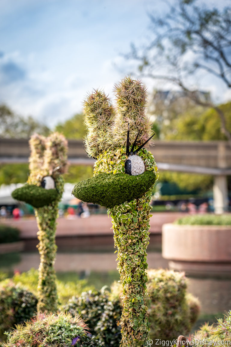 Disney World in May 2022 | Weather, Crowds & Events
