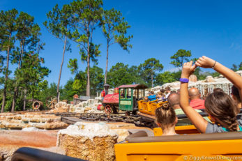 9 Best Disney World Roller Coasters (Ranked Worst to First)