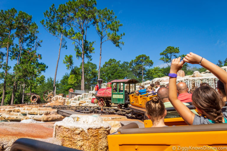 9 Best Disney World Roller Coasters (Ranked Worst to First)