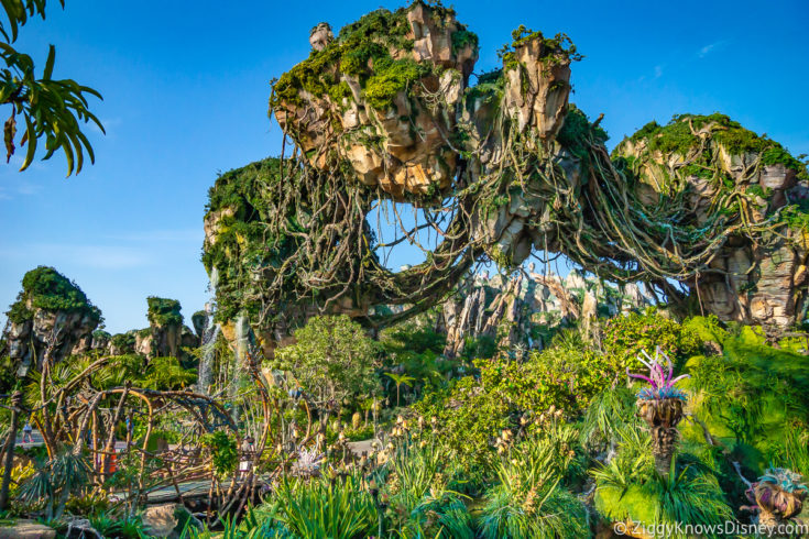 Disney World in June 2021 | Weather, Crowds & Events