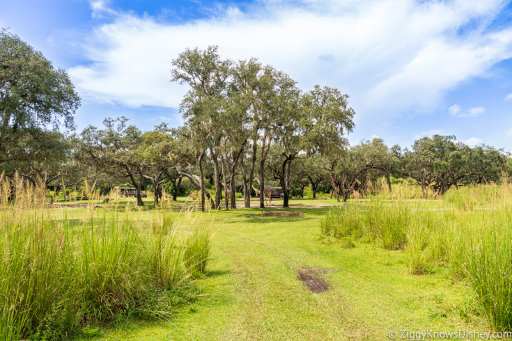 Disney World in August 2021 | Weather, Crowds & Events