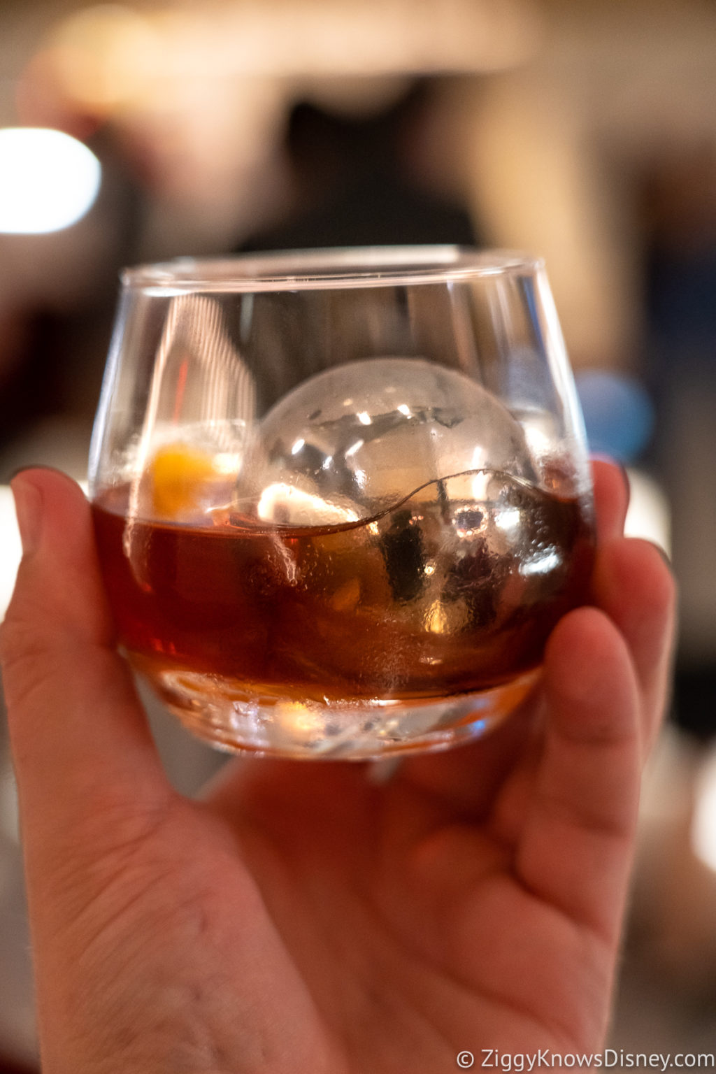 Sublight Lounge on Star Wars: Galactic Starcruiser | Menu & Info