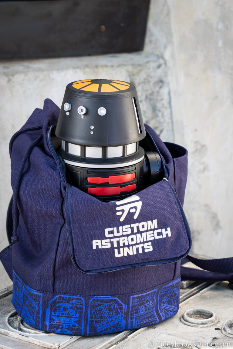 Droid Depot - Build a Droid in Galaxy's Edge, Step by Step & Cost