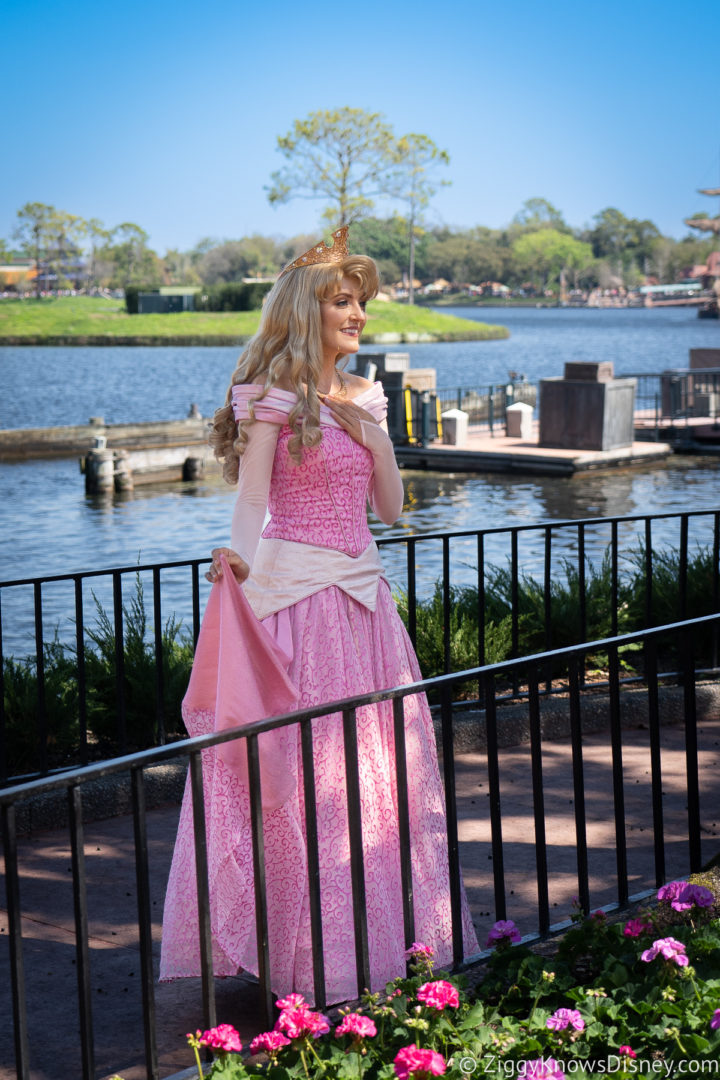 Character Meets Return to Disney World | FAQs & Updates