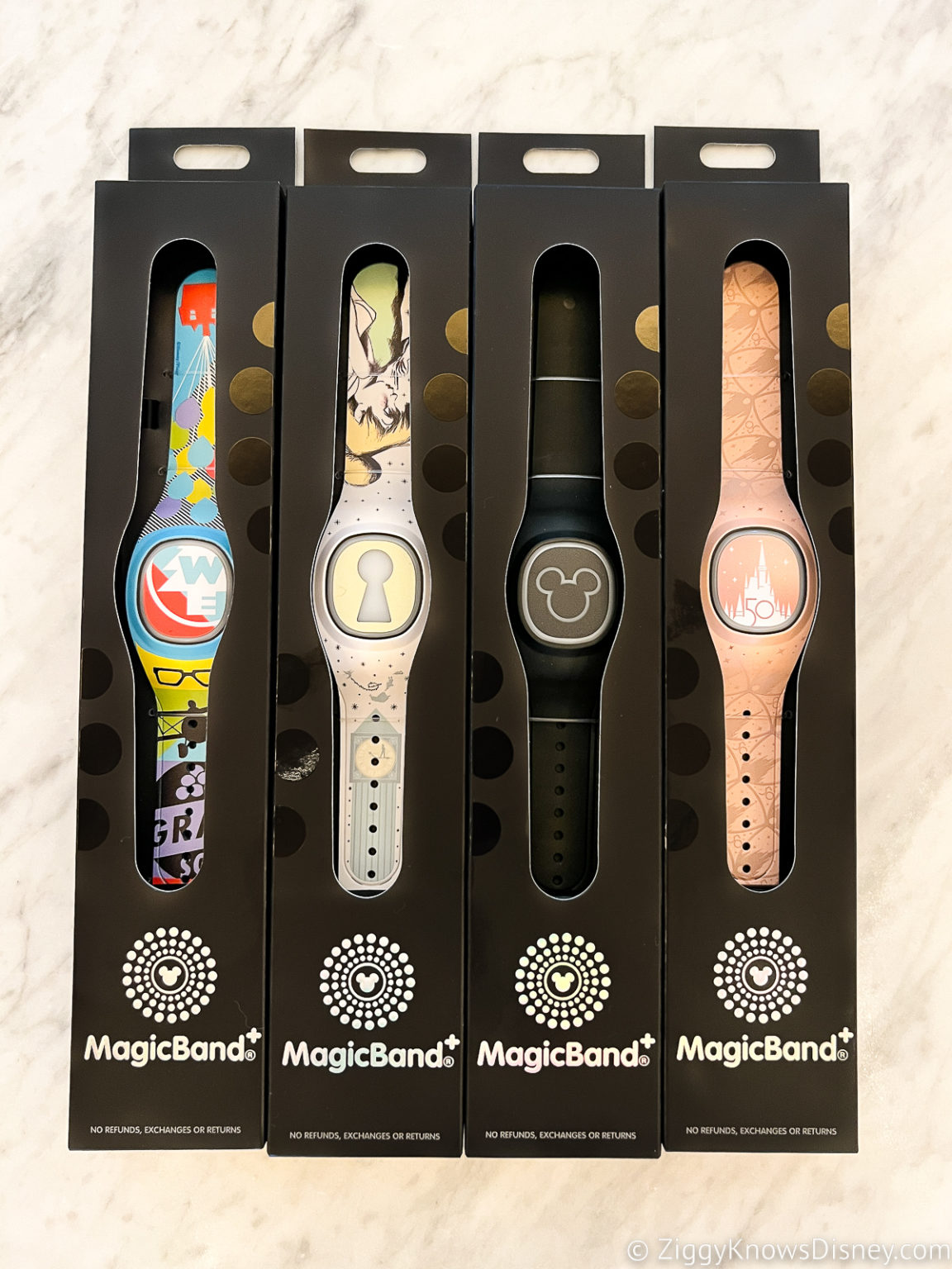 How to Set Up MagicBand+ | Pre-Order Styles & Discounts