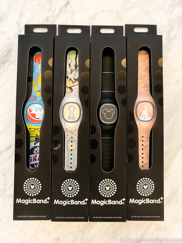 How to Set Up MagicBand+ | Pre-Order Styles & Discounts