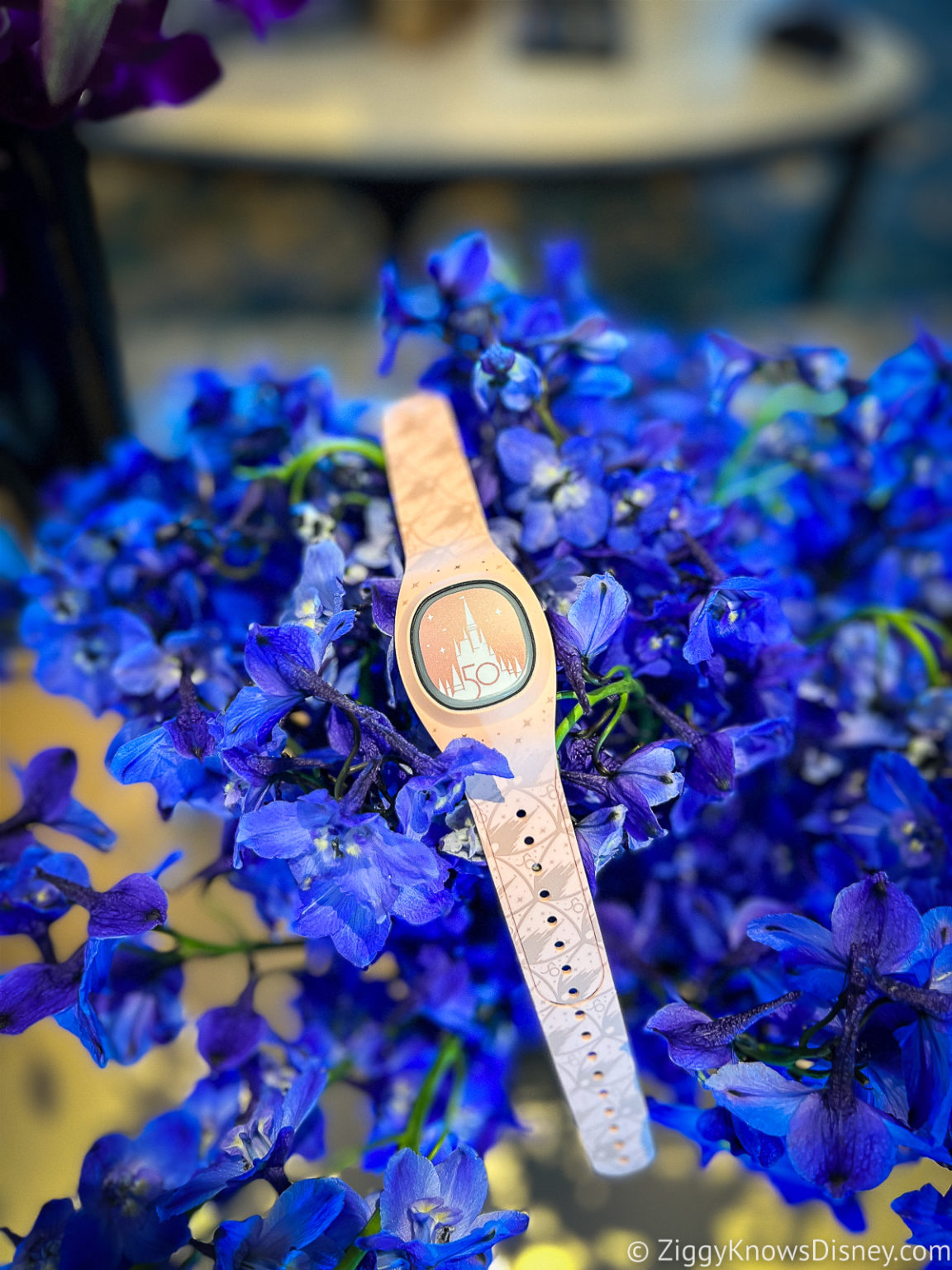 How to Set Up MagicBand+ | Pre-Order Styles & Discounts