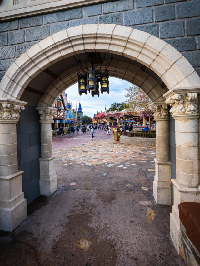 Complete Info & Guide | 1-Day Disney World Tickets Story - Ziggy Knows ...