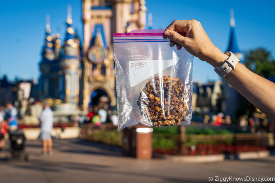 Eating Cheap at Disney World | Our Top Spots and Bites