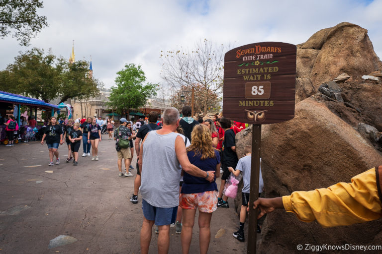 Disney Disability Pass Guide (DAS) & How to Qualify