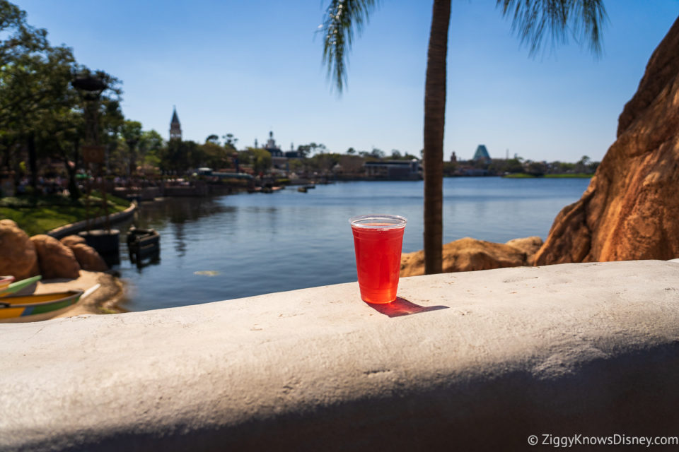 Best Drinks at EPCOT - Drinking Around World Showcase 2026