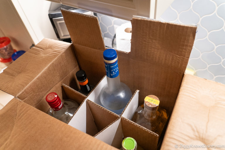 Getting Groceries Delivered at Disney World | Tips & Guide